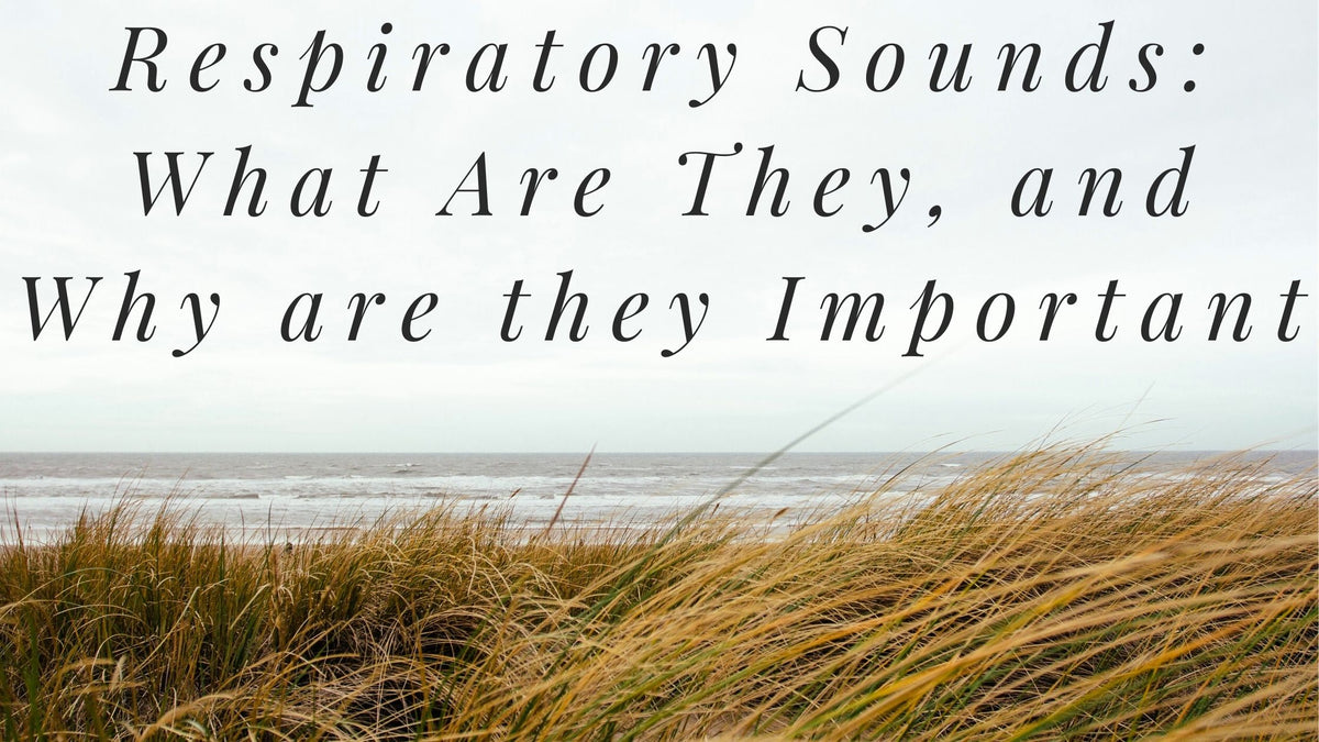 Respiratory Sounds: What Are They and Why is it Important – LPT Medical